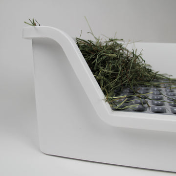 Large Rabbit Litter Box - Great for Two Rabbits and Large Breeds – ROOLY