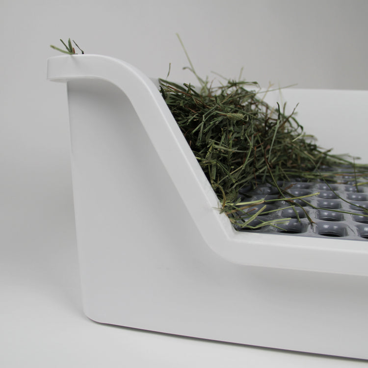 Large Rabbit Litter Box - Great for Two Rabbits and Large Breeds – ROOLY