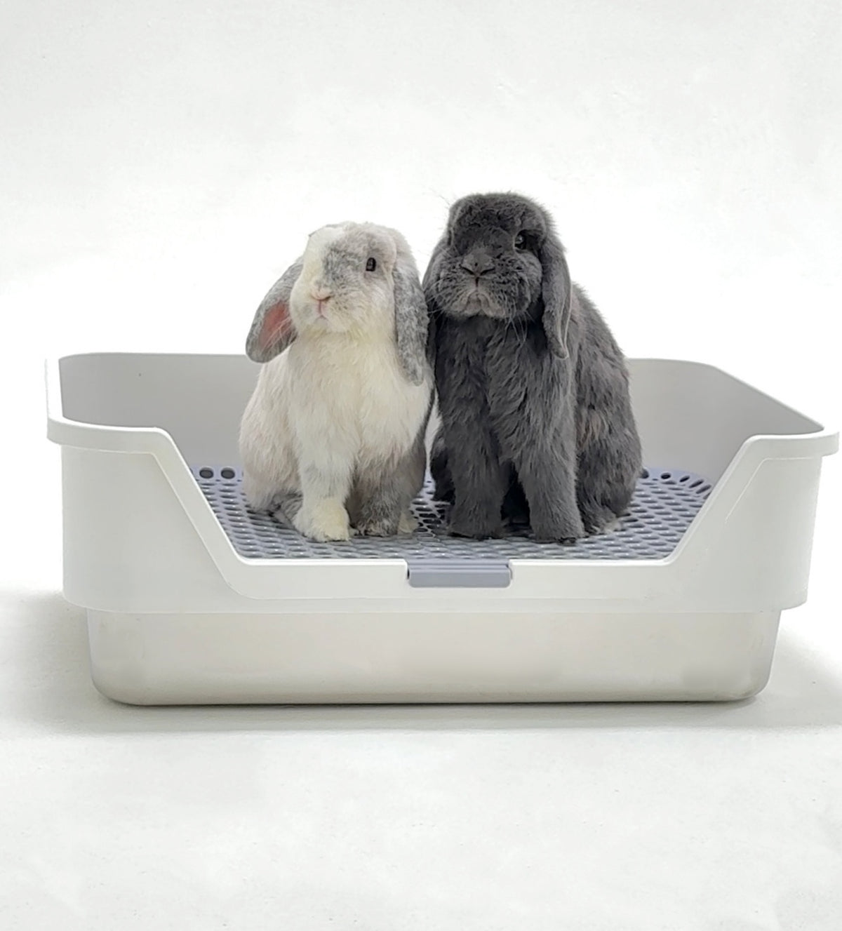 Large Rabbit Litter Box - Great for Two Rabbits and Large Breeds – ROOLY